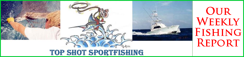 Top Shot Sportfishing Weekly Reports | Fort Lauderdale Florida